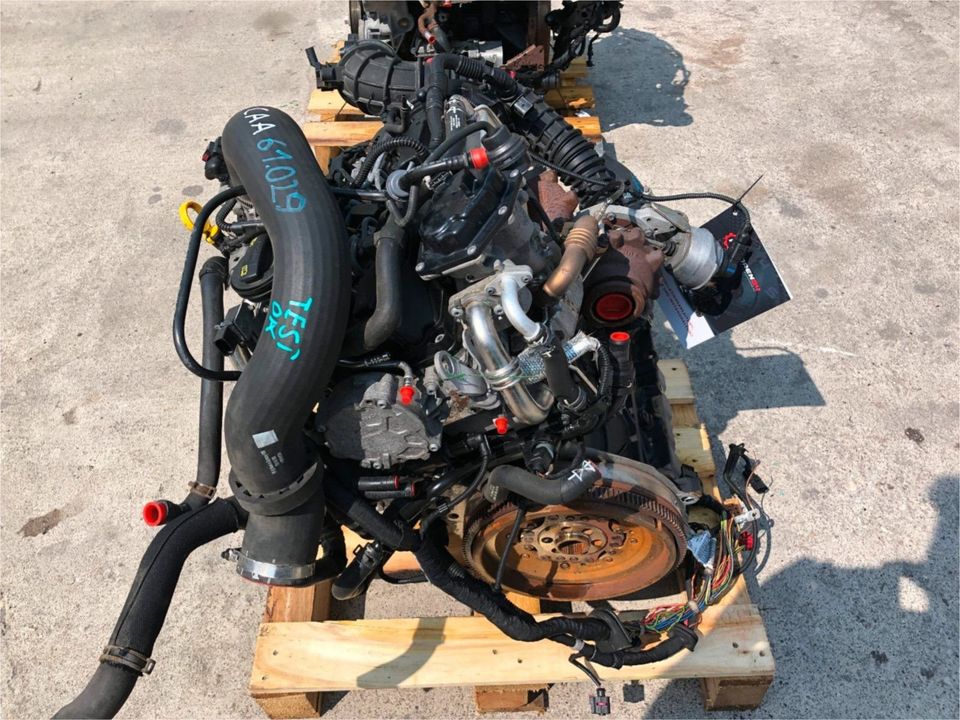 MOTOR CAA 2.0 TD VW TRANSPORTER T5 KOMPLETTE MOTOR 61.029KM in ... MOTOR CAA 2.0 TD VW TRANSPORTER T5 KOMPLETTE MOTOR 61.029KM in ...